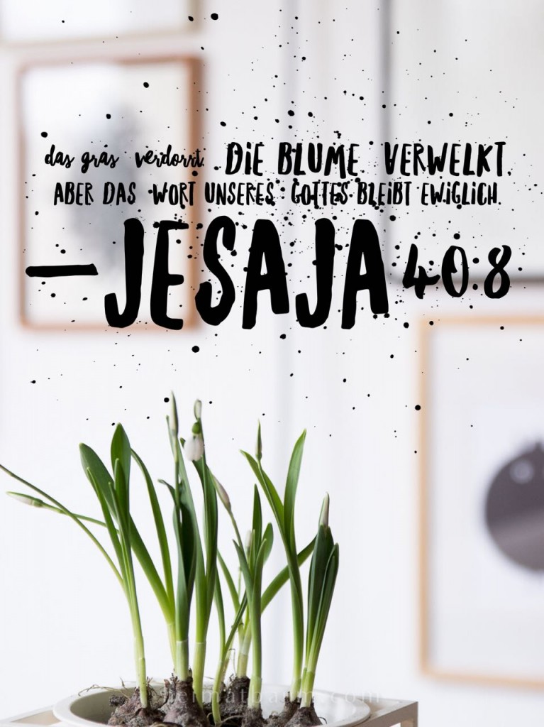Jesaja 40:8 – iBelieve
